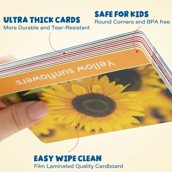 Double-Sided Educational Flashcards, Alphabet Number, - Kid's Life Prime
