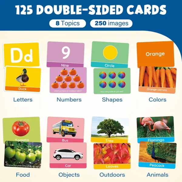 Double-Sided Educational Flashcards, Alphabet Number, - Kid's Life Prime